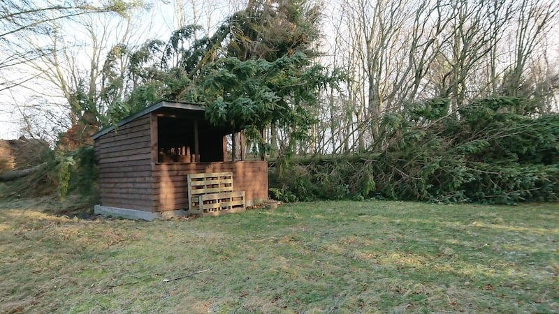 Gordon District Scouts at Daviot